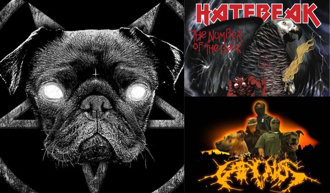Bandas con animales como Vocalistas: Más real de lo que piensas ...